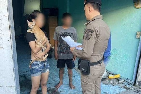 Nicholas Cartel and Singa Bui Sentenced for Contempt - Under Coverist