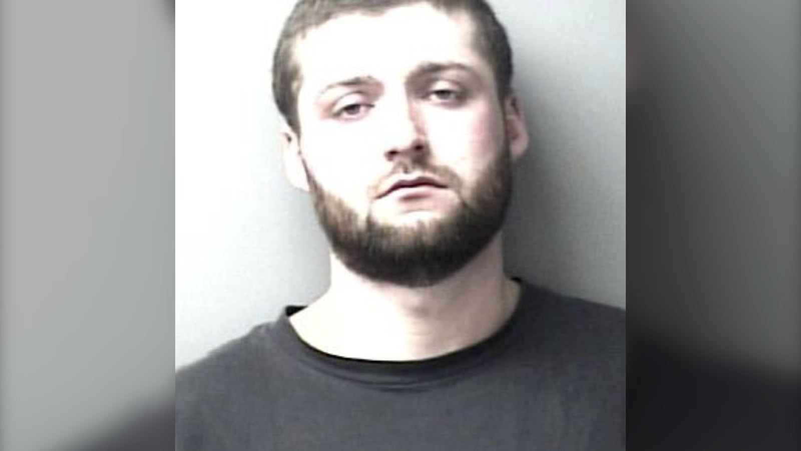 Gregory Joseph Daisley Arrested in Sydney Vandalism Case - Under Coverist