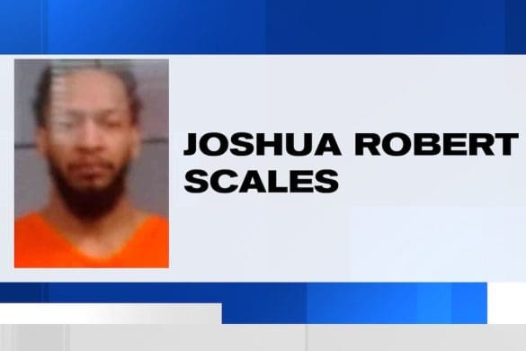 Joshua Robert Scales Archives - Under Coverist