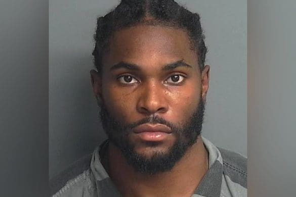 Katelin Conklin Arrested for Animal Cruelty and Domestic Violence ...