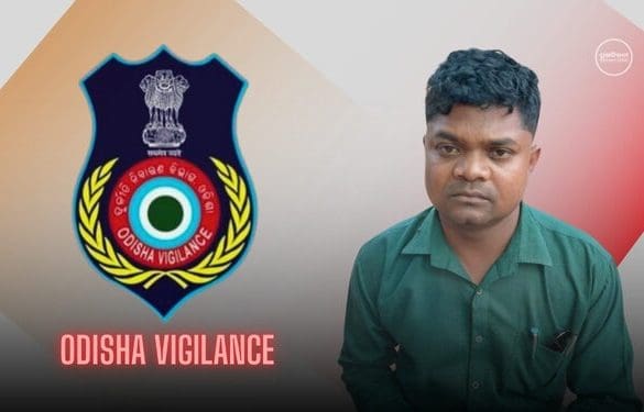 Rick Tariq Rahim Sentenced to 6.5 Years for Tax Evasion and Wire Fraud ...