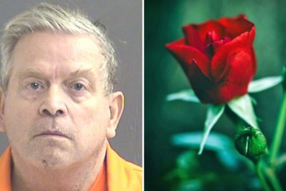 Shirley Waller Faces 20 Years for $1M Romance Scam Role - Under Coverist