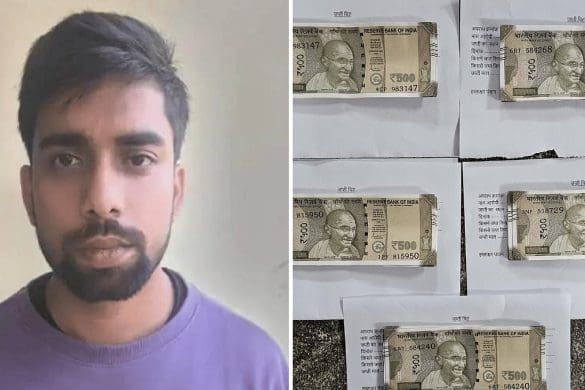 Nicholas Cartel and Singa Bui Sentenced for Contempt - Under Coverist