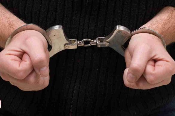 Jong and Neelufar Rhee Charged in $57M Luxury Scam Scheme - Under Coverist