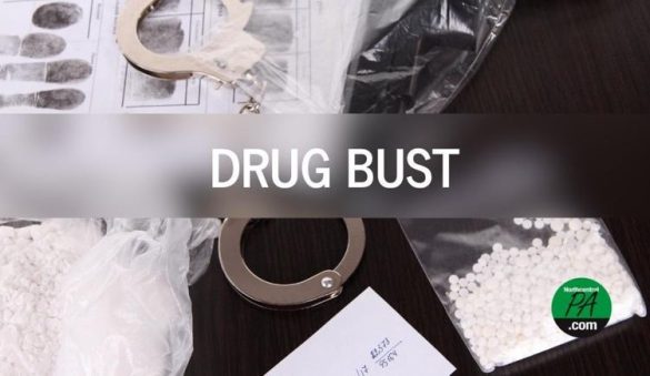 Largest Seattle Drug Ring Busted: 14 Arrested in Multi-State Operation ...