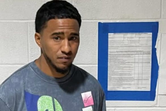 Jong and Neelufar Rhee Charged in $57M Luxury Scam Scheme - Under Coverist