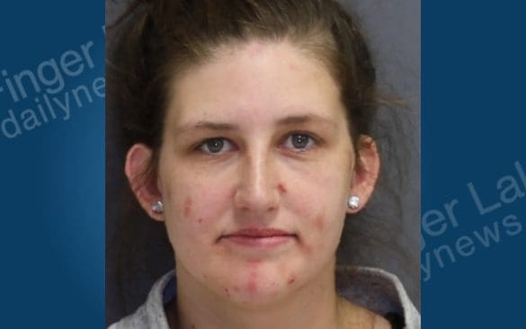 Michelle Lewis Arrested on Delinquency Warrant in Junius - Under Coverist