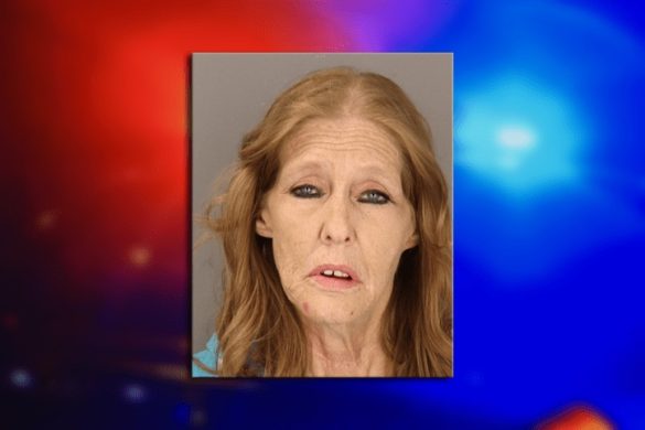 Krista Stewart Arrested for Identity Theft Using Stolen Credit Card ...