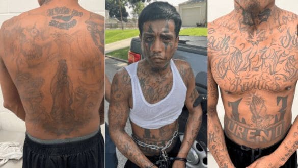 ICE Arrests Gang Member Mario Torrez-Lopez, Deported 4 Times - Under ...