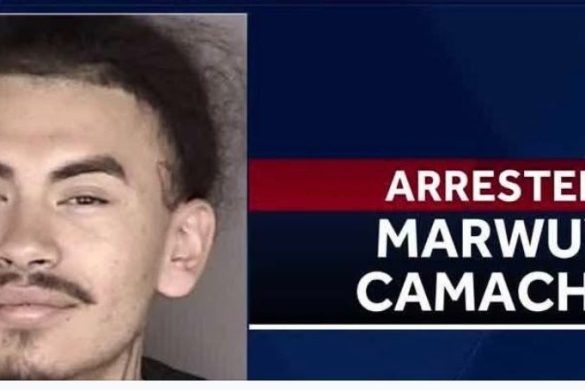 Pune Police Arrest Bandu Andekar 7 Others in Ayush Komkar Murder Case ...