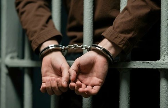 Jong and Neelufar Rhee Charged in $57M Luxury Scam Scheme - Under Coverist