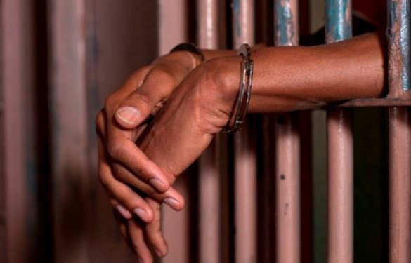 Vincent Dispoto Jr. Admits $7M Investment Fraud Scheme - Under Coverist