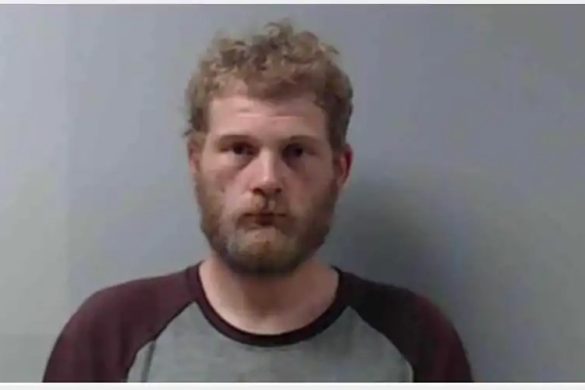 David Crook Archives - Under Coverist