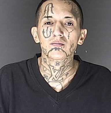 Parents Bruce and Samantha Anglin Arrested for Locking Child in Shed ...