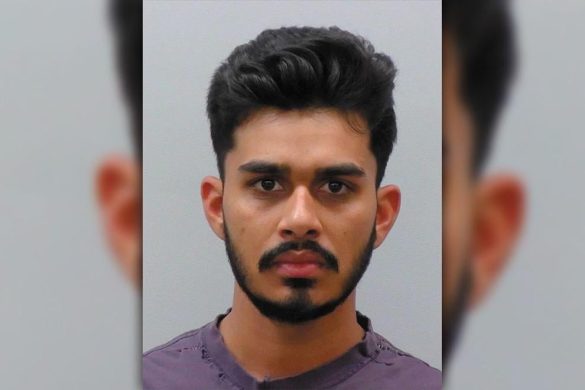 Jong and Neelufar Rhee Charged in $57M Luxury Scam Scheme - Under Coverist