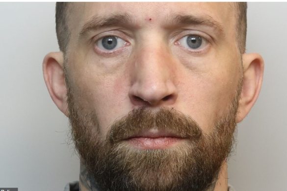 Luke Garrett Resecker Gets 65 Years for Deadly Texas Crash - Under Coverist